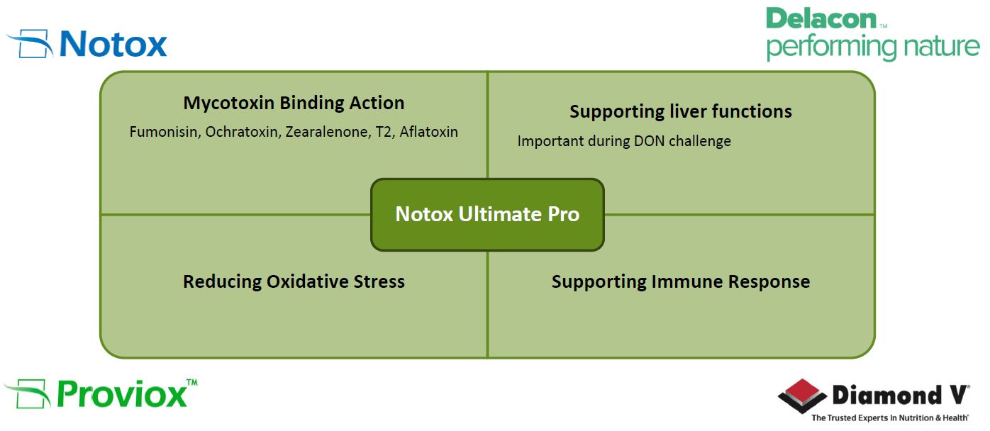 Provimi - Products - Poultry